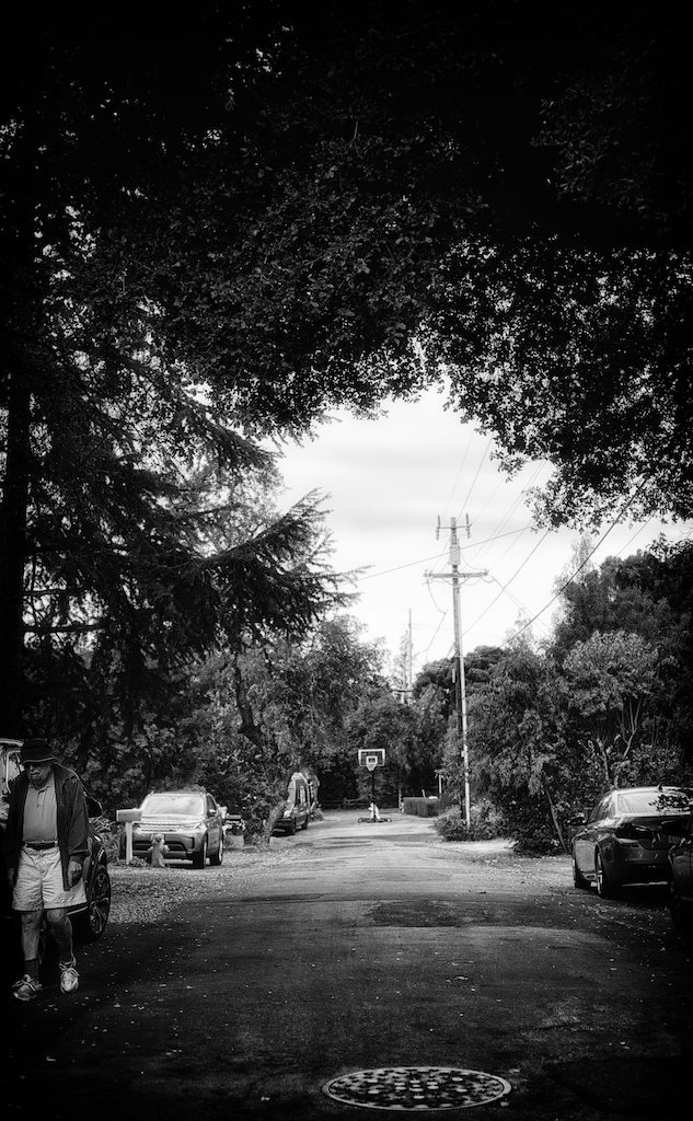 Perry Lane • Jamie Lyons